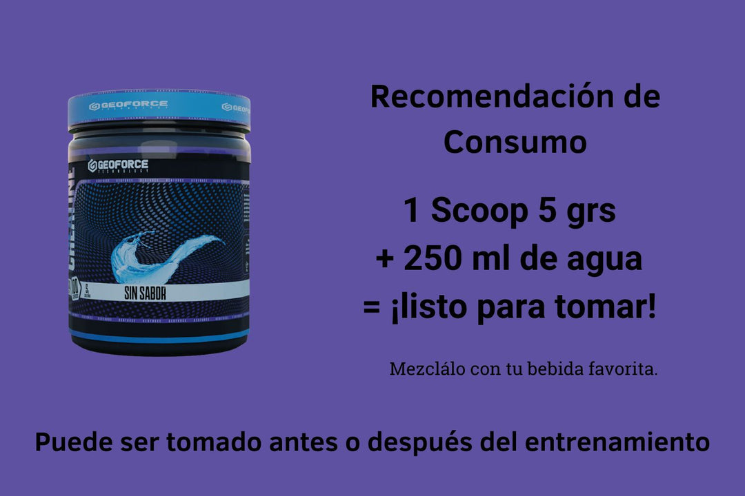 Creatina GEOFORCE 500 gr - Sin Sabor – GeoForcemx